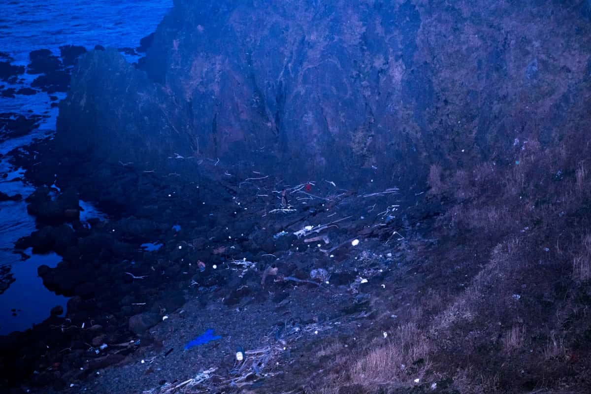 志賀理江子 | Lieko Shiga